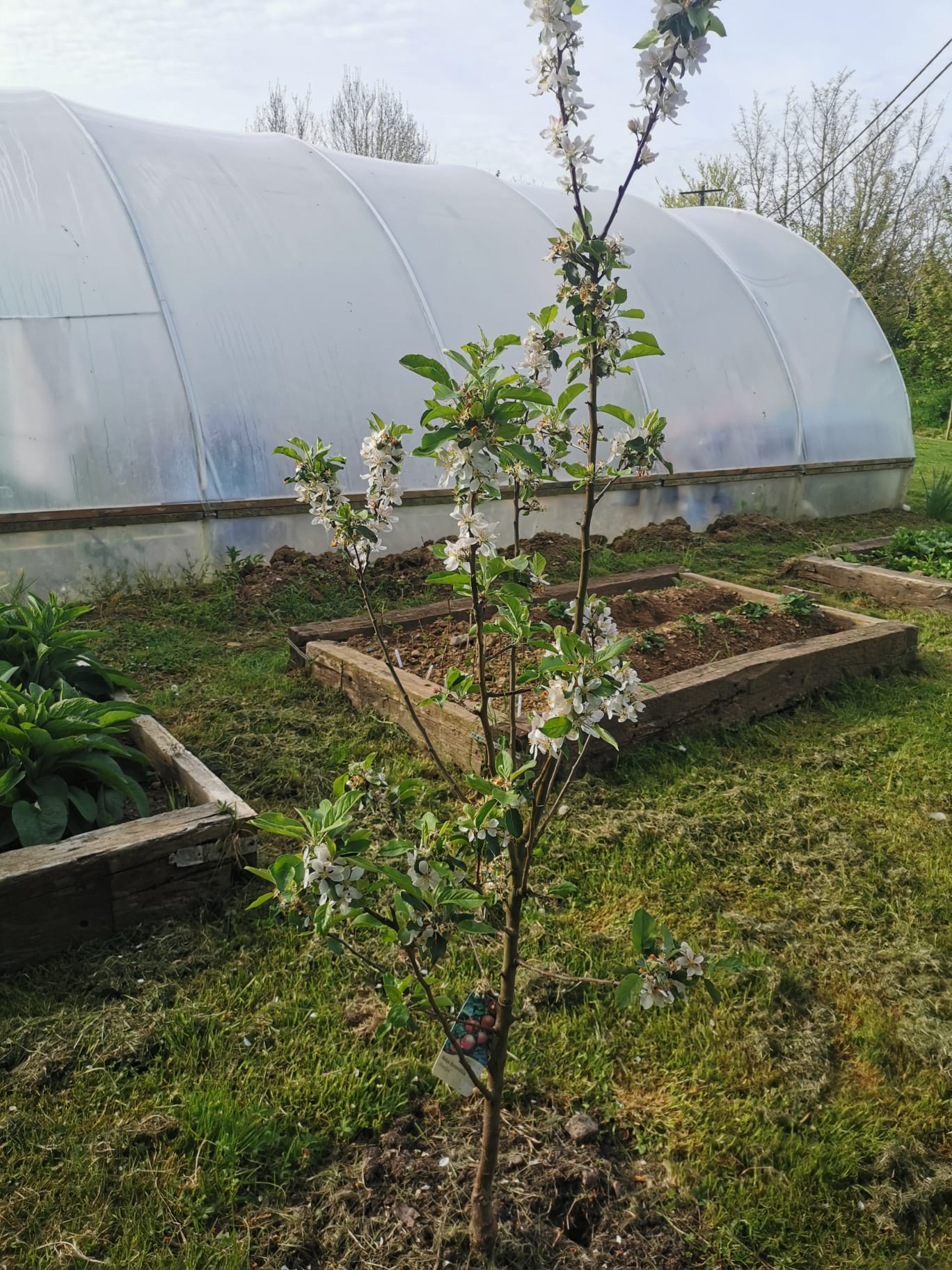 Newcastle Community Garden and Composting site. | Newcastle Clonmel ...